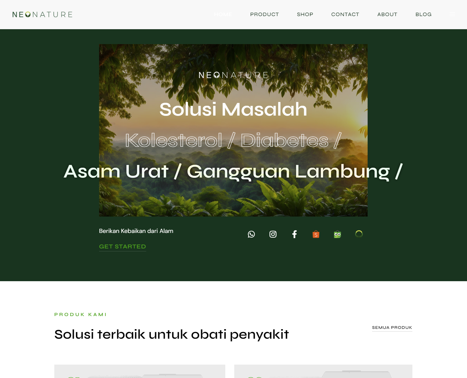 Website - Brenin Creative